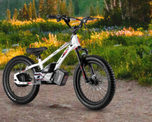 Amped A20 Pro Electric Balance Bike - Amped Balance Bikes